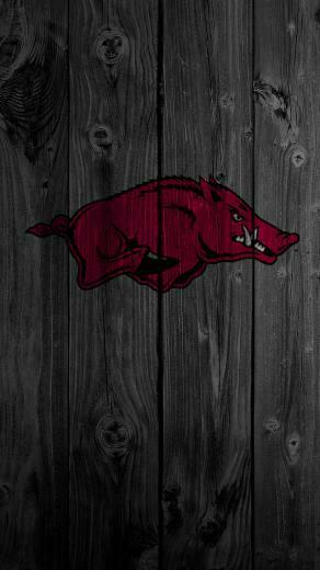 [47+] Arkansas Razorbacks Wallpapers on WallpaperSafari