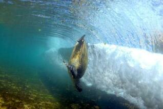 [48+] Clark Little Photography Wallpaper on WallpaperSafari