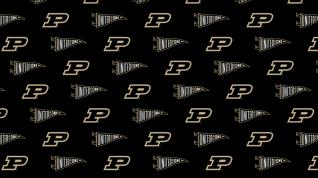 [35+] Purdue Backgrounds on WallpaperSafari