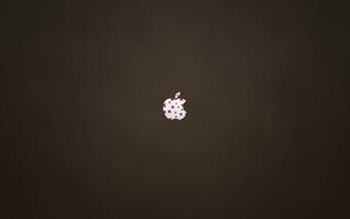 [47+] Cute MacBook Wallpaper on WallpaperSafari