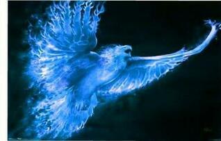 [42+] Blue Phoenix Wallpaper on WallpaperSafari