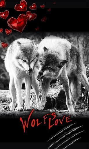[45+] Wolves in Love Wallpapers on WallpaperSafari