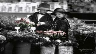 [50+] Kim Anderson Wallpaper on WallpaperSafari