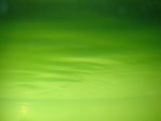 [43+] Blank Desktop Wallpaper on WallpaperSafari