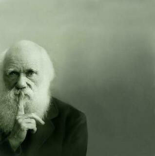 [31+] Charles Darwin Wallpapers on WallpaperSafari