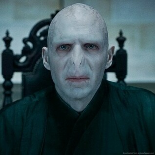 [50+] Pickywallpapers on WallpaperSafari