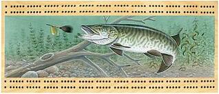 Free download muskie pictures art [600x444] for your Desktop, Mobile ...