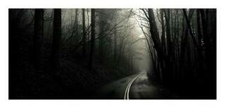 [44+] Into The Mist Wallpaper on WallpaperSafari