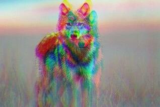 [49+] Trippy Wolf Wallpapers on WallpaperSafari