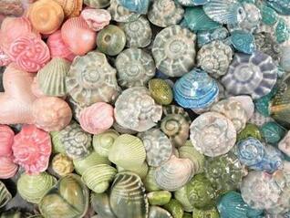 Free download Colorful seashells wallpaper ForWallpapercom [808x606 ...