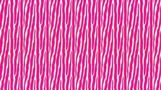 [48+] Pink Zebra Wallpaper on WallpaperSafari