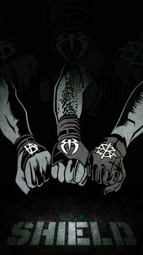 [18+] WWE Shield Logo Wallpapers on WallpaperSafari