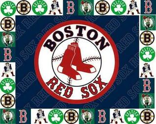 [49+] Boston Teams Wallpaper on WallpaperSafari