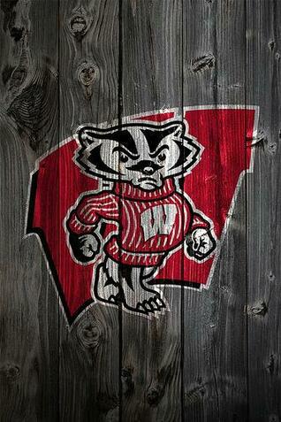 [49+] Wisconsin Badgers Computer Wallpaper on WallpaperSafari