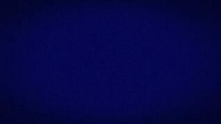 [49+] Navy Color Wallpaper on WallpaperSafari