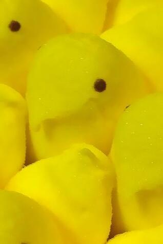 [48+] Easter Peeps Wallpaper on WallpaperSafari
