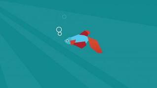 [46+] Windows 7 Fish Wallpaper on WallpaperSafari