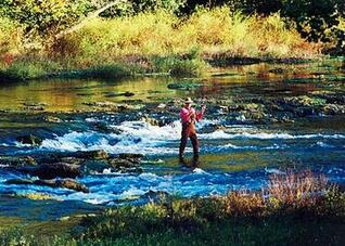 [42+] Wallpaper of Fishing Streams on WallpaperSafari