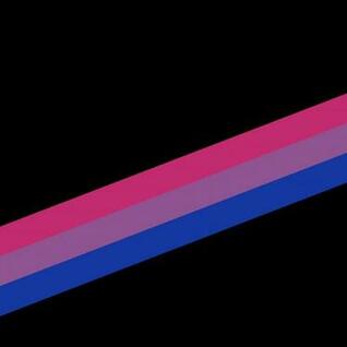 [19+] Bisexual Flag Wallpapers on WallpaperSafari