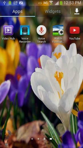 [47+] Live Flower Wallpaper on WallpaperSafari
