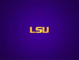 [49+] LSU Baseball Desktop Wallpaper on WallpaperSafari