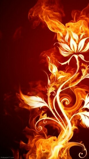 [70+] Fire Flower Wallpaper on WallpaperSafari