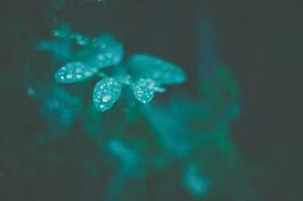 [50+] Wallpaper Collection Zip on WallpaperSafari