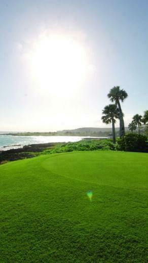 [48+] iPhone Golf Wallpaper on WallpaperSafari