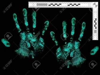 [39+] Forensic Backgrounds on WallpaperSafari