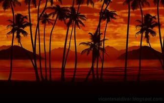 [50+] Scarface Wallpaper Palm Trees on WallpaperSafari