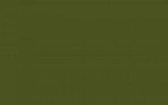 Free download Army Green Grunge Leather Texture Background PhotoHDX ...