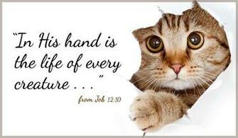 [11+] Scripture Wallpaper with Cat Pictures on WallpaperSafari