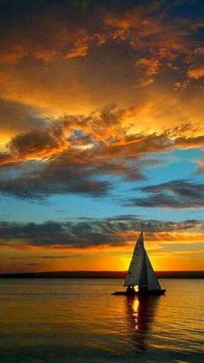 [47+] Best Wallpapers for Mobile on WallpaperSafari