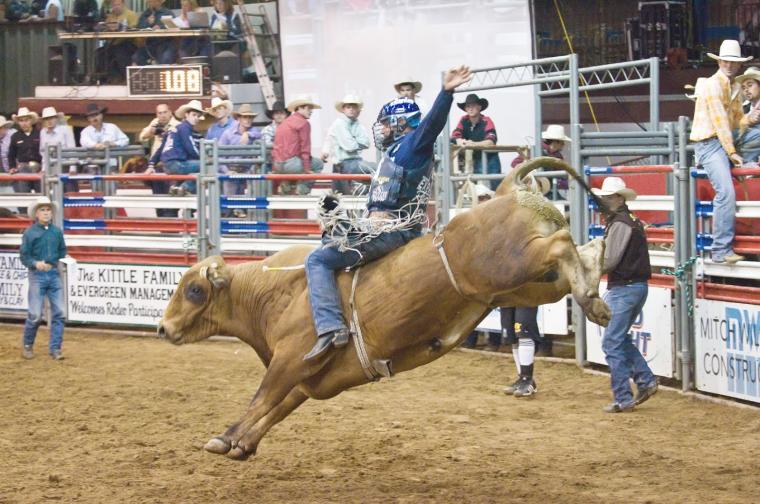 Free download Cool Bull Riding Wallpaper Images amp Pictures Becuo ...