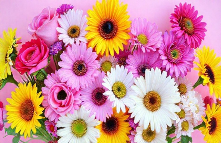 🔥 [60+] Phool Wallpapers | WallpaperSafari