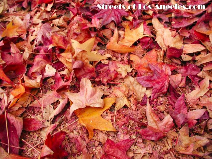 🔥 [50+] Free Late Winter Desktop Wallpapers | WallpaperSafari