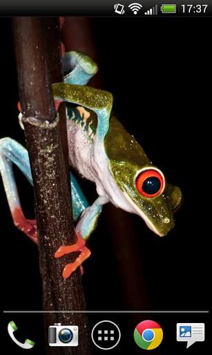 🔥 [90+] Funny Live Wallpapers | WallpaperSafari