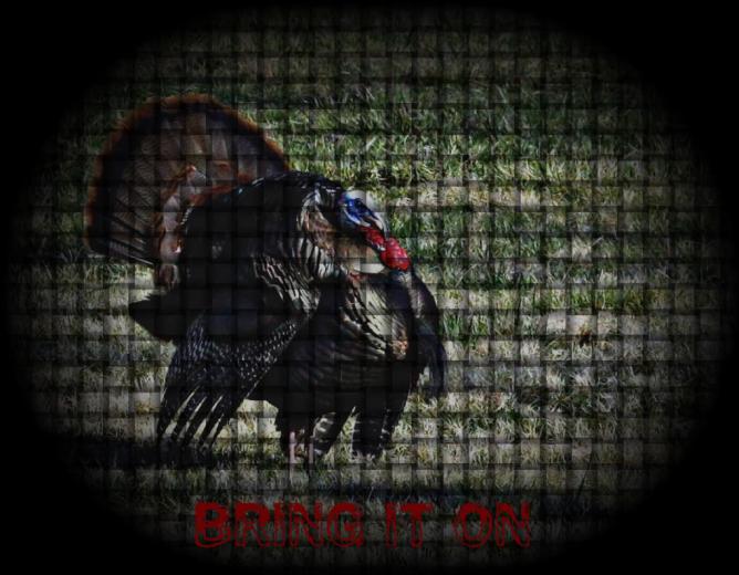 🔥 Free Download Coon Huntin by @williamjohns | WallpaperSafari