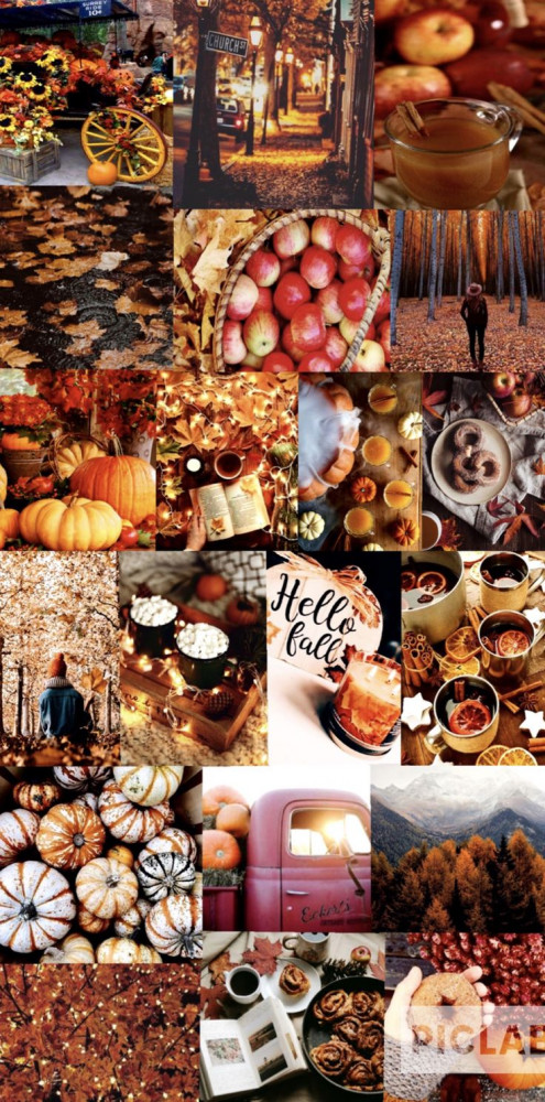 🔥 Free Download Madison Van Horn On Autumn Aesthetics Thanksgiving by ...