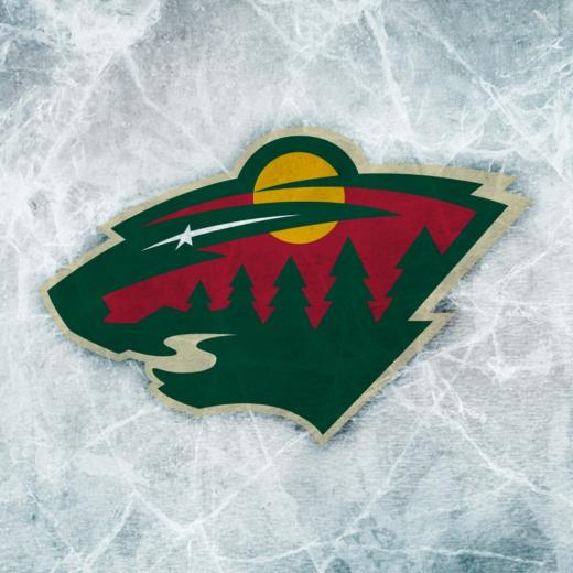 🔥 [120+] Minnesota Wild HD Wallpapers | WallpaperSafari