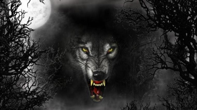 🔥 [60+] Free Wolves Screensavers and Wallpapers | WallpaperSafari
