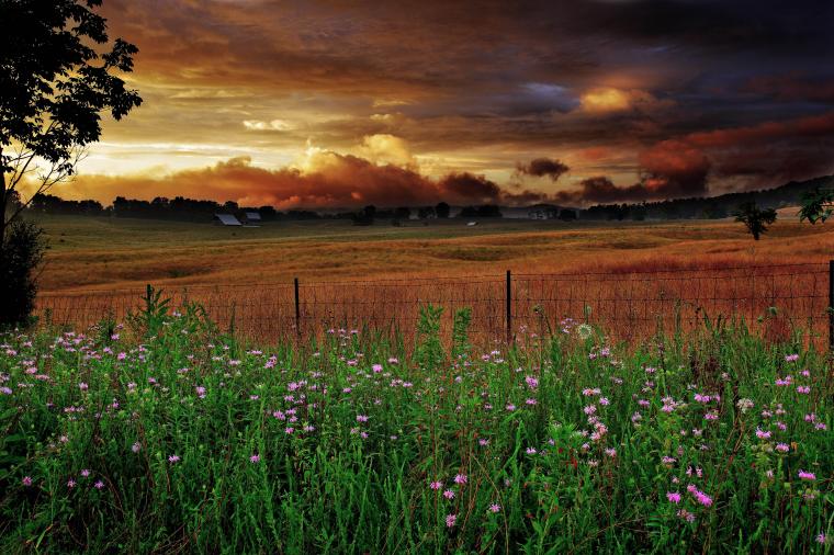 🔥 [140+] Free Farm Screensavers and Wallpapers | WallpaperSafari