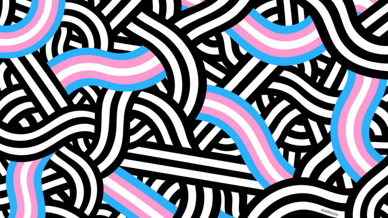 🔥 [50+] Trans Flag Wallpapers | WallpaperSafari