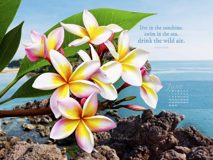 🔥 [50+] Crosscards December 2015 Wallpapers | WallpaperSafari
