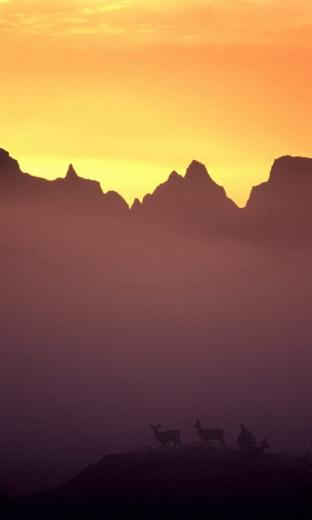 🔥 [150+] Windows Phone 10 Wallpapers Download | WallpaperSafari