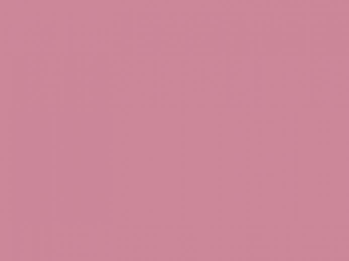 🔥 [50+] Puce Backgrounds | WallpaperSafari