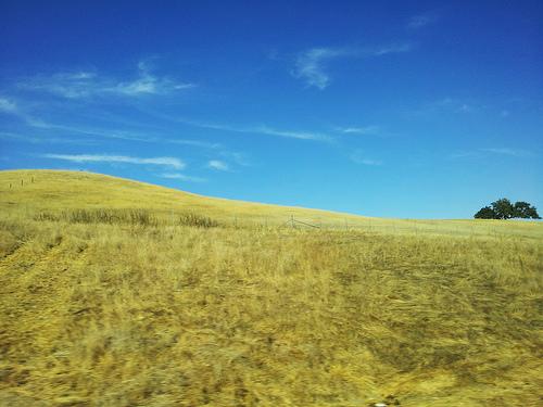 🔥 [50+] Windows Wallpapers Grass | WallpaperSafari