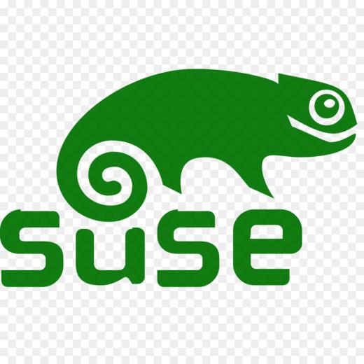 Free download lizard suse linux geeko novell surfer wallpaper and ...