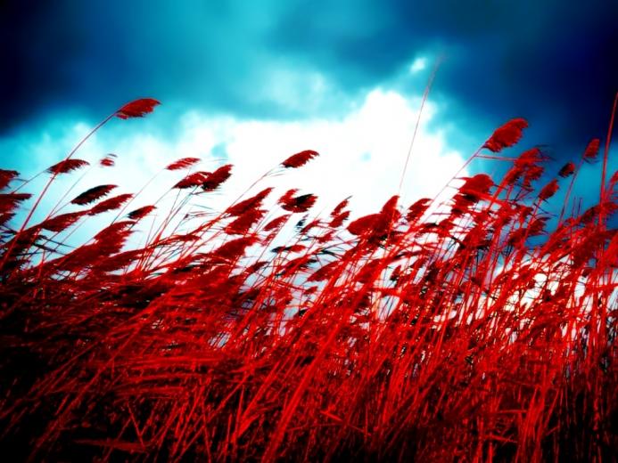 🔥 [50+] Windy Wallpapers | WallpaperSafari