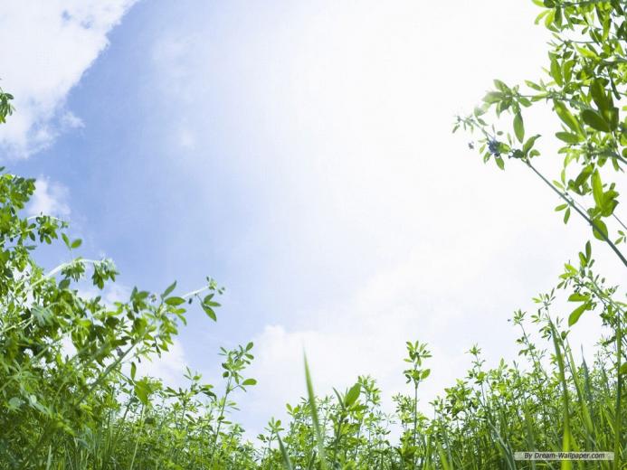 🔥 [40+] Country Blue Wallpapers | WallpaperSafari